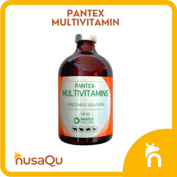 Pantex Multivitamin - Nusa Shop by nusaQu